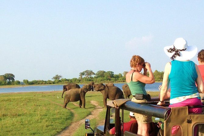 Private Jeep Safari to Kaudulla National Park - Introduction