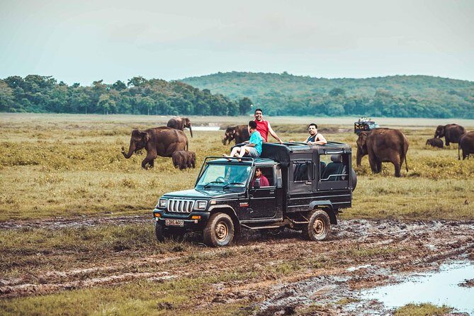 Private Jeep Safari to Kaudulla National Park - Detailed Breakdown of the Experience