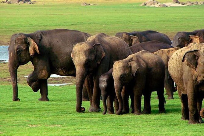 Private Jeep Safari To one of a Best National Park - Who Would Benefit Most?