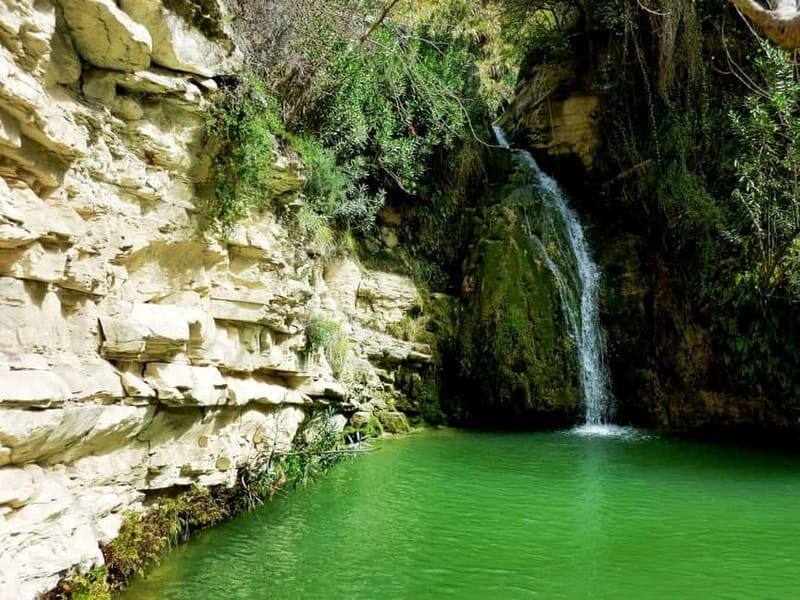 Private Jeep Safari Turtle Adventure & Adonis Waterfalls - An In-Depth Look at the Itinerary