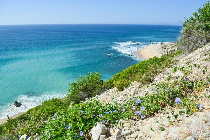 Private Jeep Tour Cabo Pulmo - Final Verdict