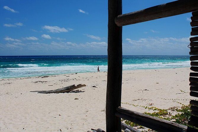 Private Jeep Tour in Cozumel - Final Thoughts: Is This Tour Worth It?
