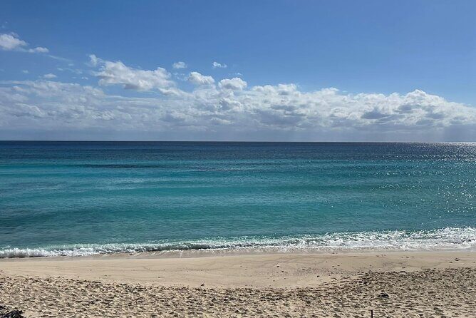 Private Jeep Tour in Cozumel to Local Areas with Snorkel & Lunch - The Full Experience: An In-Depth Look