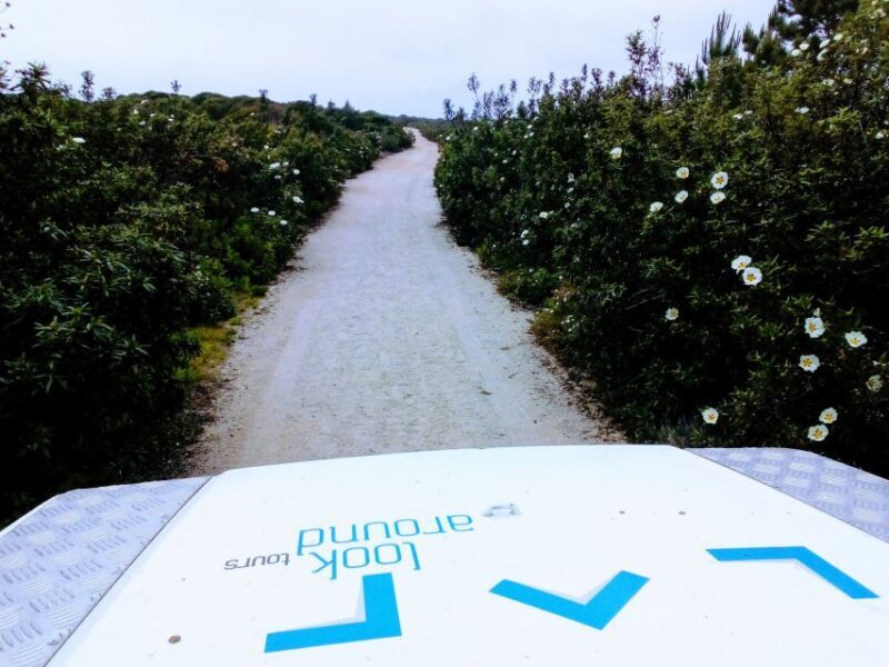 Private Jeep tour to Espichel Mysteries and Wild Beaches - What Makes This Tour Stand Out?