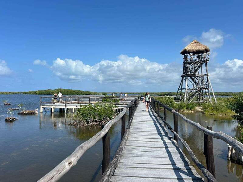 Private Jeep tour to Punta Sur park + snorkel + Lunch - Key Points
