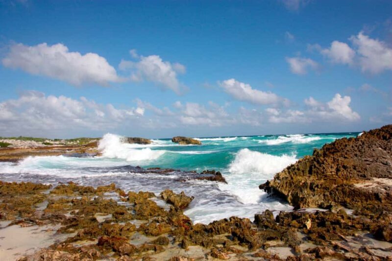 Private Jeep tour to Punta Sur park + snorkel + Lunch - Why You’ll Appreciate This Tour