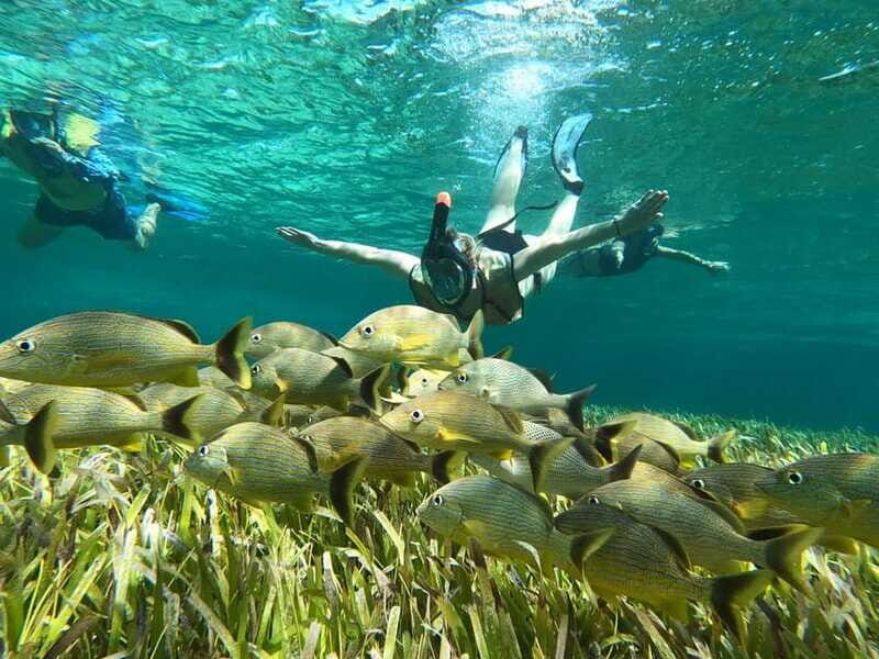 Private Jeep tour to Punta Sur park + snorkel + Lunch - Who Is This Tour Best For?