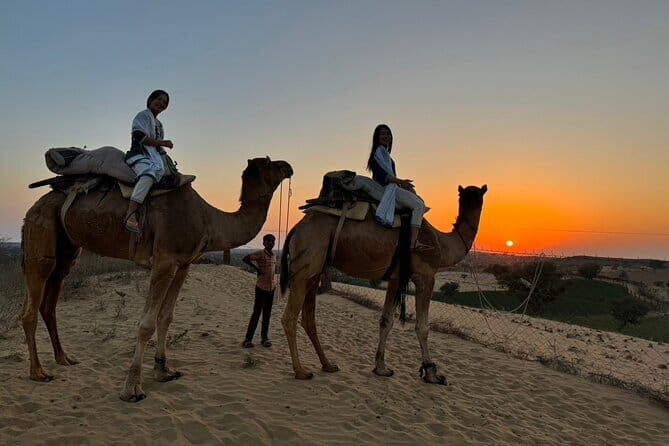 Private Jodhpur City Tour & Camel Safari Tour - Who Should Consider This Tour?