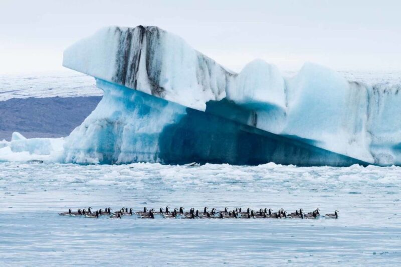 Private Jökulsárlón Glacier Lagoon Tour - A Detailed Look at the Tour Itinerary