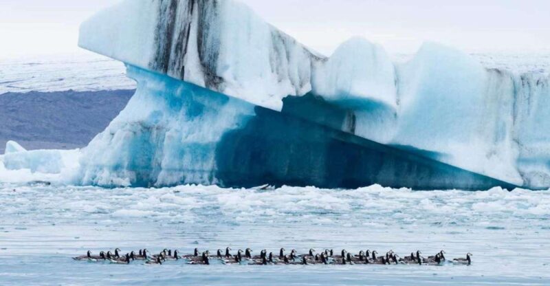 Private Jökulsárlón Glacier Lagoon Tour - What Travelers Are Saying