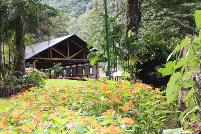 Private: Jungle Buggy Zipline Combo Adventure at La Hacienda - Who Is This Tour Best For?