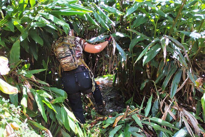 Private Jungle Waterfall Adventure, Wit Da Native Hawaiian Dundee - The Practical Side: Price, Duration, and What It Means for You