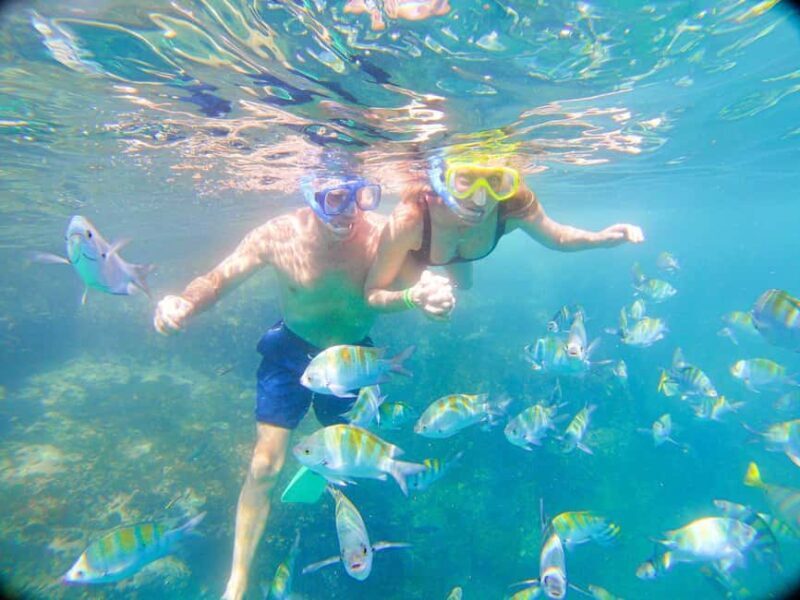 Private Junior Catamaran Tour in Punta Cana with Transportation Included - Key Points