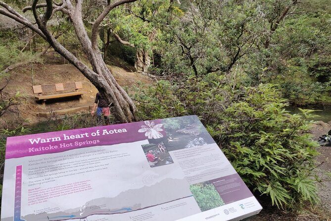 Private Kaitoke Hot Springs Soak and Walk Tour in Great Barrier - Practical Tips for Potential Travelers