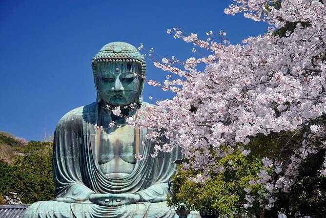 Private Kamakura Enoshima Tour from Tokyo w/ pickup & local guide - Key Points