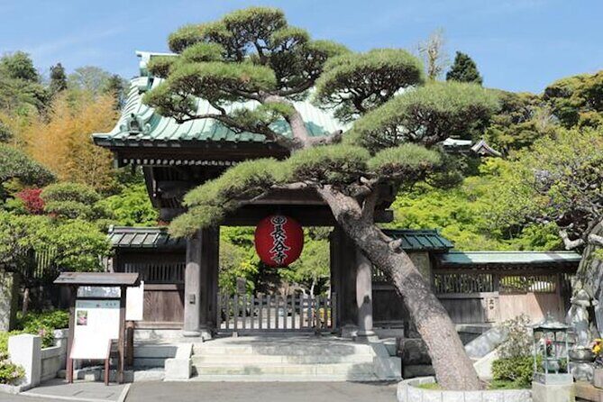 Private Kamakura Enoshima Tour from Tokyo w/ pickup & local guide - The Itinerary: What to Expect on This Private Kamakura Enoshima Tour