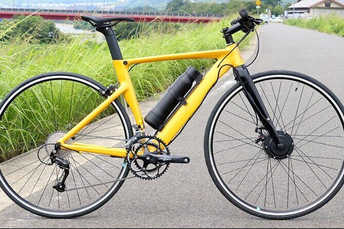 Private Kamigamo River Electric Bike Tour - Key Points