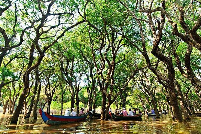 Private Kampong Phluk Village boat trip - The Sum Up: Who Is This Tour Best For?