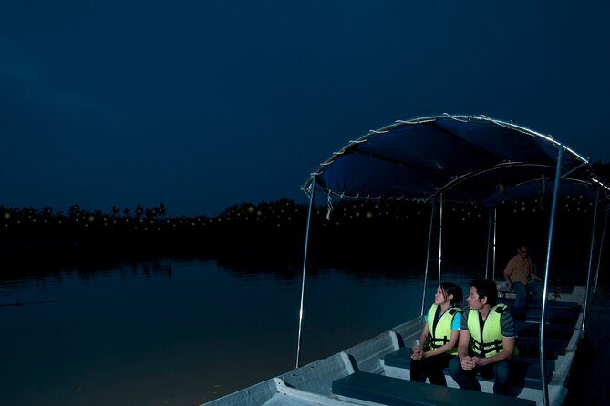 Private Kampung Kuantan Firefly Park Tour from Kuala Lumpur - Conclusions: Who Is This Tour Best For?