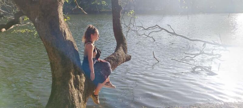 Private Kandy City Tour with Tuk-Tuk Ride - An In-Depth Look at the Tour Experience