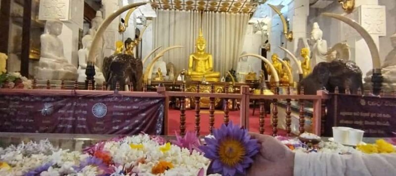 Private Kandy Day Tour: Ambuluwawa Tower & Hidden Temples - Cultural and Historical Highlights