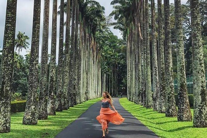Private Kandy Day Tour from Colombo - Comfort and Convenience of Private Transport