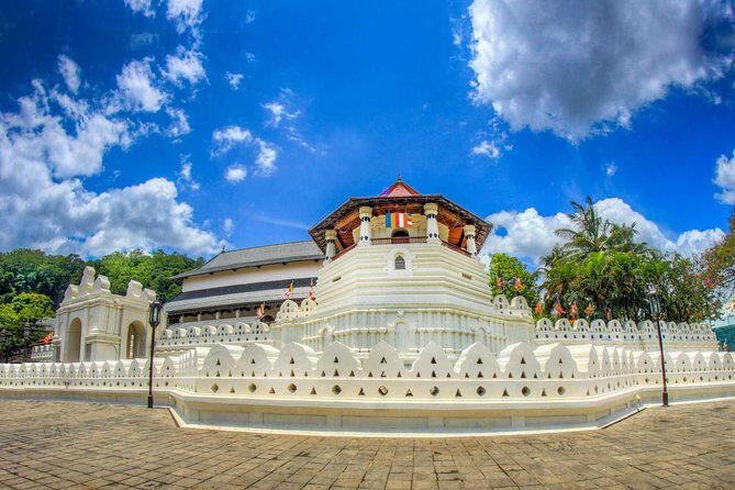 Private Kandy Day Tour From Negombo - Introduction: Is This Tour Right for You?