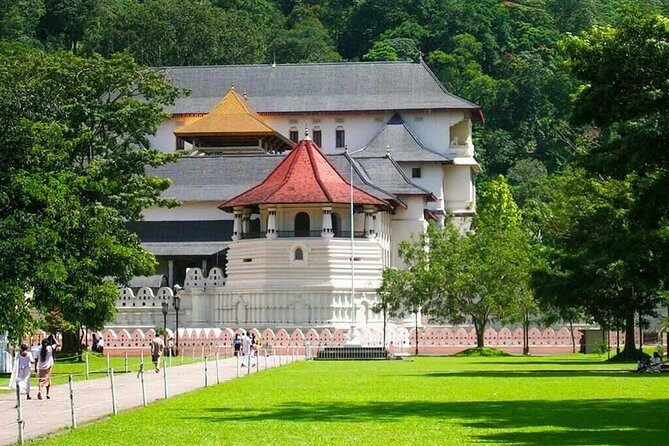 Private Kandy Day Tour From Negombo - What Travelers Say About This Tour