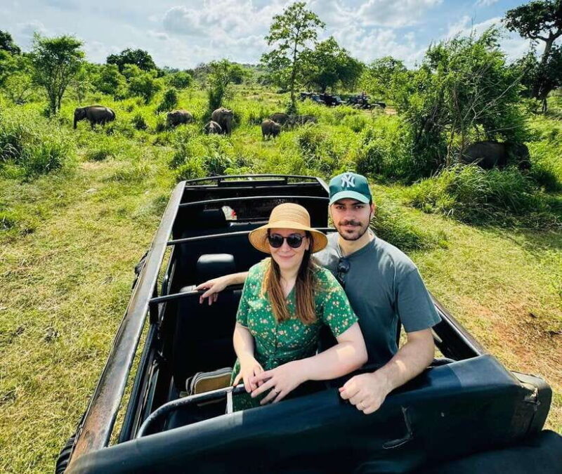 Private Kandy to Sigiriya and Minneriya Safari Day Tour - Getting Started: What You Can Expect