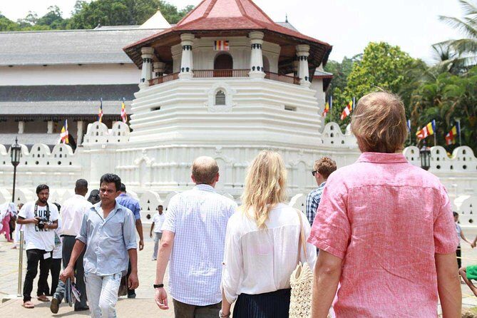 Private Kandy Tour by Air-Conditioned Car: Do it All in One Day - The Itinerary in Detail
