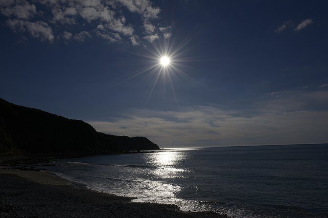 Private Kapiti Coast Full Day Tour - Cost and Value