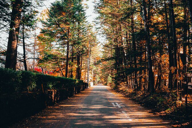 Private Karuizawa, Nagano Tour - Bilingual Chauffeur - Why Choose a Private Bilingual Chauffeured Tour?