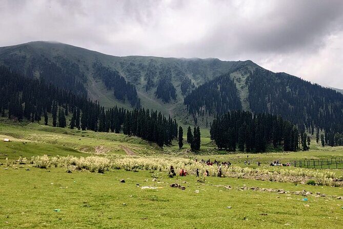 Private Kashmir Family 7-Day Tour - What Makes This Tour Stand Out?