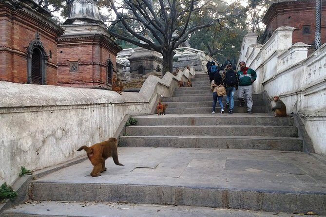 Private Kathmandu Sightseeing Tour 4 UNESCO World Heritage Sites - Who Should Book This Tour?