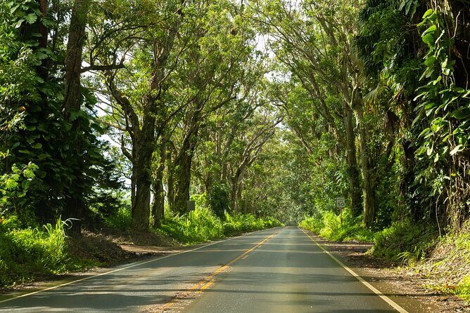 Private Kauai Island Tour - Featuring Waimea & Kokee State Parks - Authenticity and Real Experiences from Travelers