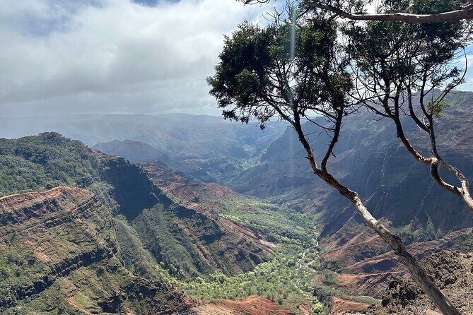 Private Kauai Island Tour - Featuring Waimea & Kokee State Parks - Final Thoughts