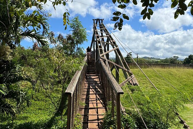 Private Kauai Island Tour : Waimea Canyon, Kalalau Lookout + More - Key Points