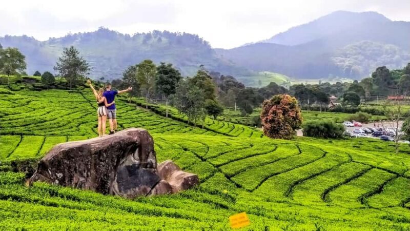 Private: Kawah Putih,Volcano,HotSpring,Mud Bathing,Lake Tour - The Sum Up