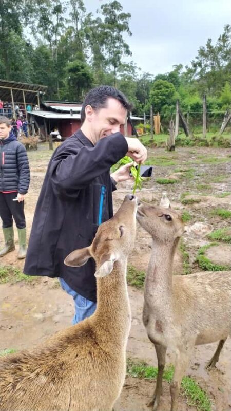 Private: Kawah Putih,Volcano,HotSpring,Mud Bathing,Lake Tour - FAQ