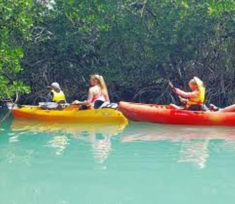 Private: Kayak Adventure at Los Haitises Sunrise Exploration - Key Points
