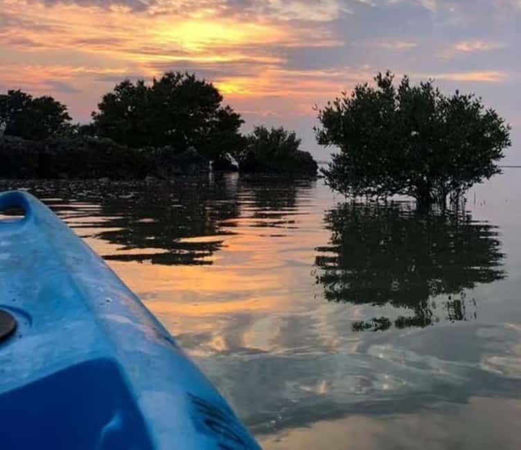 Private: Kayak Adventure at Los Haitises Sunrise Exploration - FAQ