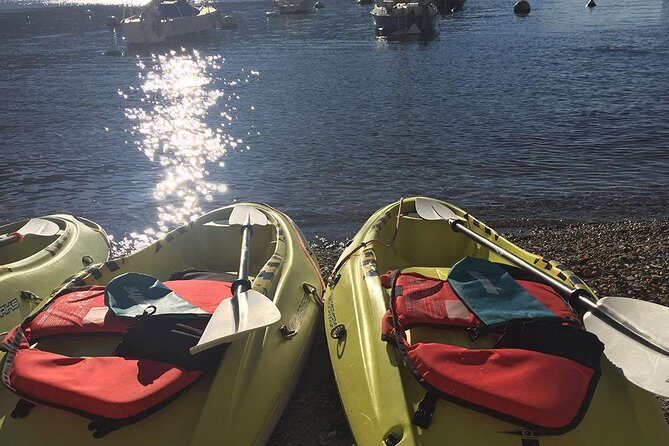Private Kayak - SUP Tour - Why Choose This Tour?
