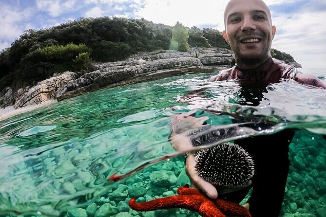 Private kayak tour: Explore the caves and turquoise bays in Pula - Who Would Love This Experience?