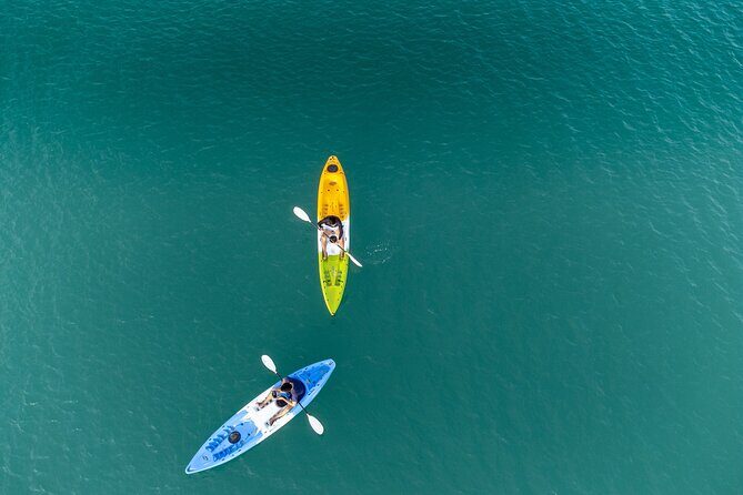 Private Kayak Tour in Puerto Rico - The Itinerary Breakdown: What You Can Expect