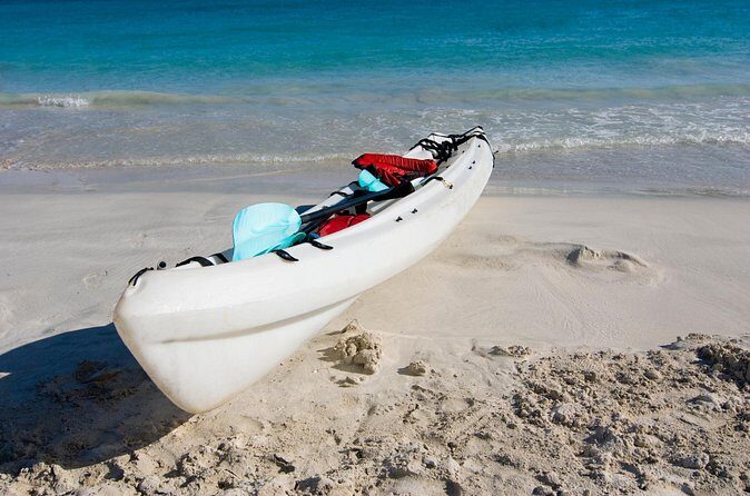 Private Kayak Tour in Puerto Rico - Final Thoughts: Who Should Consider This Tour?