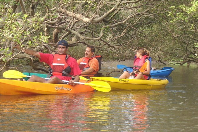 Private Kayaking Experience with Pick Up in Goa - Practical Information