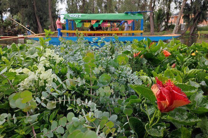 Private kayaks tour in Xochimilco & Cuicuilco pyramid - Who Will Love This Tour?