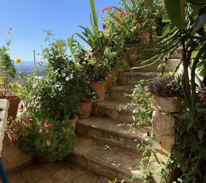 Private Kefalonia eBike Adventure-Explore Nature & Tradition - Returning to Sami and Beyond