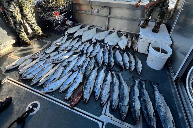 Private Ketchikan Halibut and Salmon Fishing Charter - FAQs