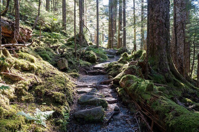 Private Ketchikan Mountain Lake Extended Trek to Alpine Overlook - What to Expect from This Unique Ketchikan Adventure
